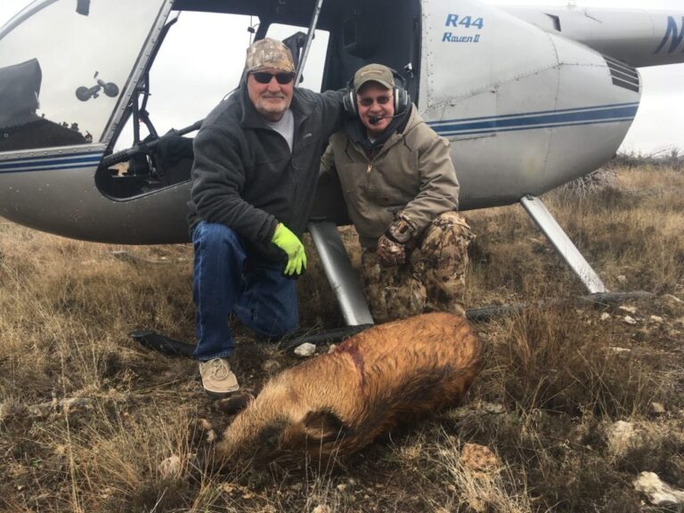 Helicopter Hog Hunts - Grassy Knoll Enterpises