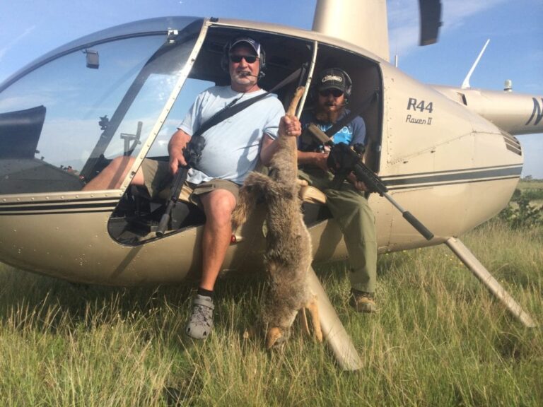 Helicopter Hog Hunts - Grassy Knoll Enterpises
